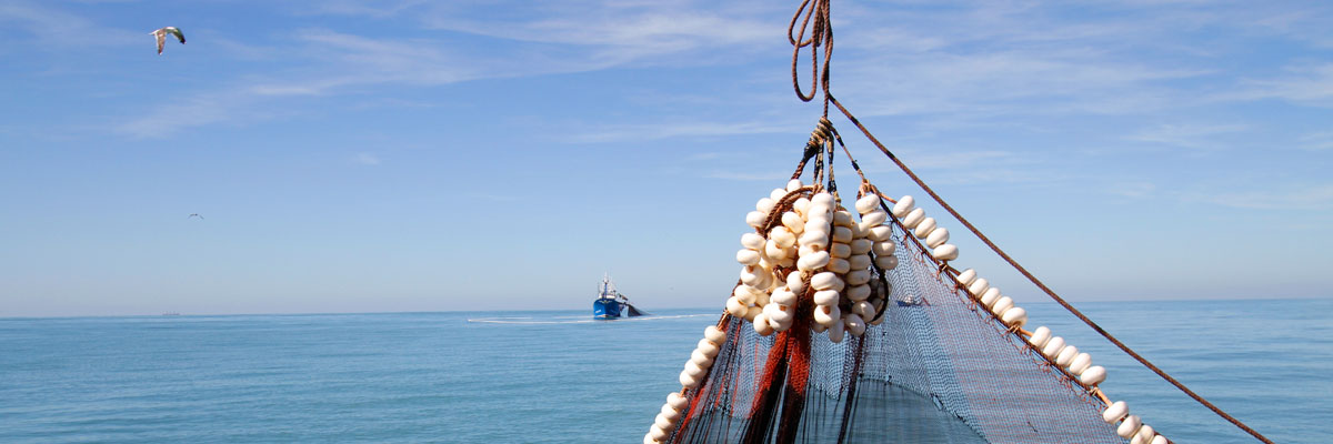 Finished Projects - Fisheries Regional Coordination Groups